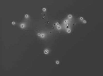Reticulation of paint on metal pieces - ATRIA Innovation